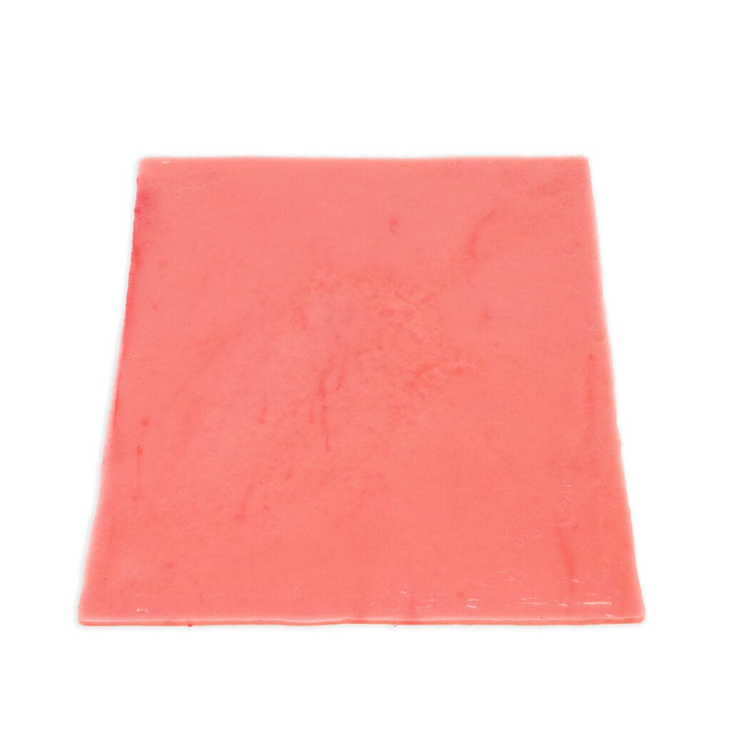 Bladder Tissue Sheet - LifeLike BioTissue