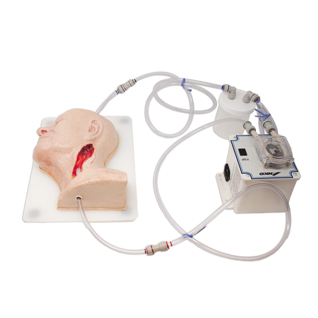 LifeLike Carotid Head Simulator - LifeLike BioTissue