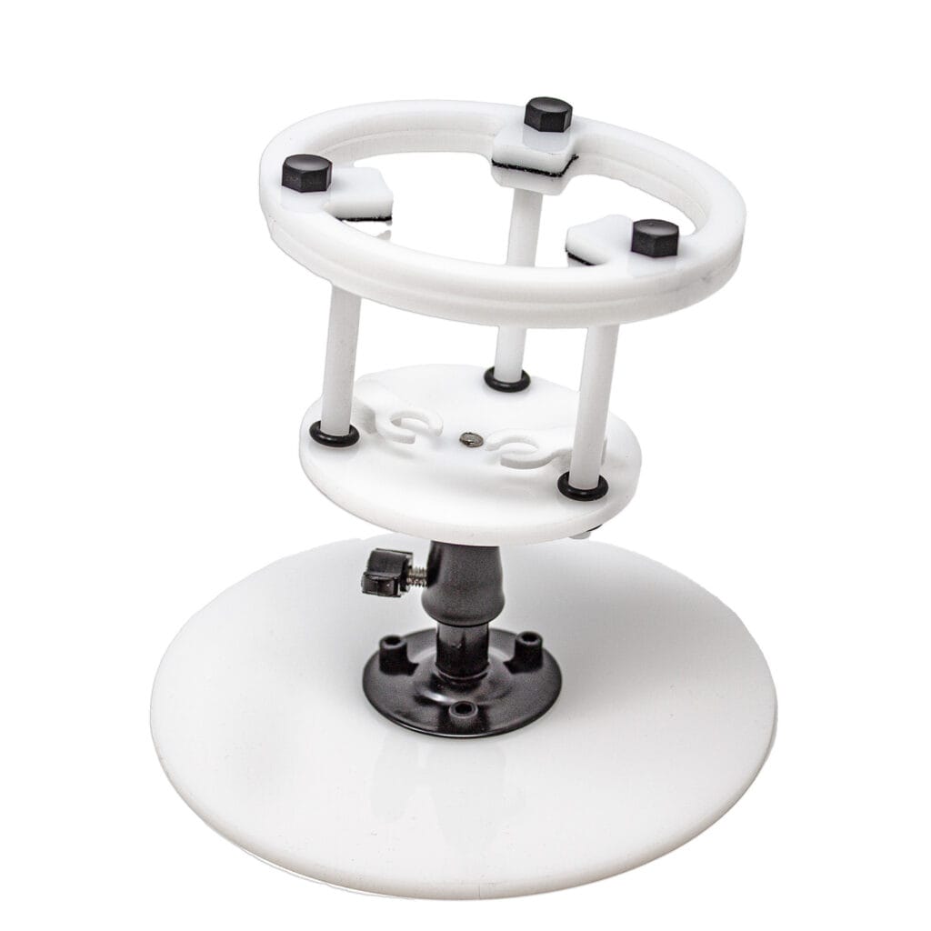 Mitral Valve Base - LifeLike BioTissue