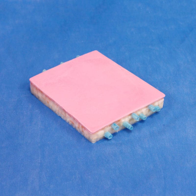 Vascular – LifeLike BioTissue