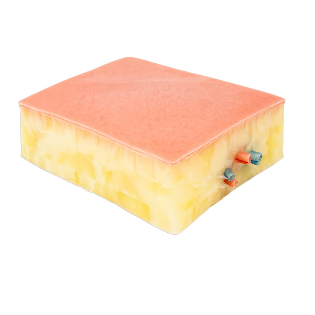 LifeLike BioTissue – Feels Real