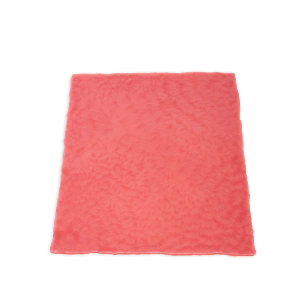 Bowel Tissue Sheet - LifeLike BioTissue