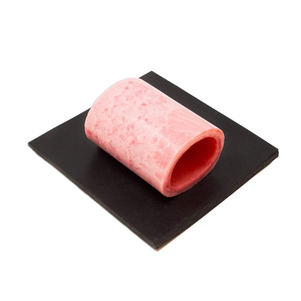 OB/GYN Surgery Sample Pack - LifeLike BioTissue