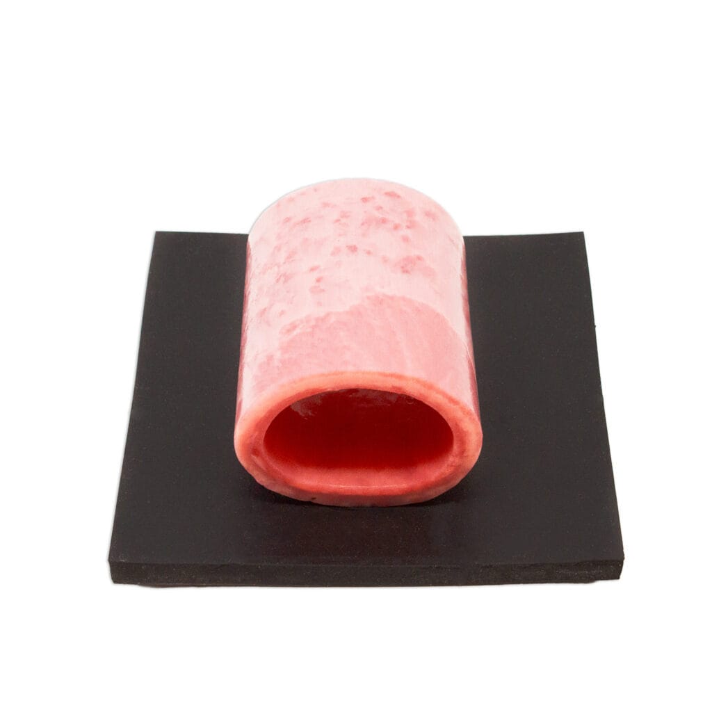 OB/GYN Surgery Sample Pack - LifeLike BioTissue