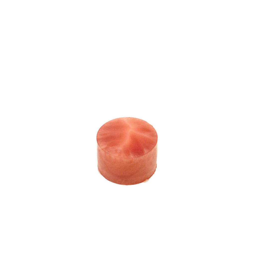 Cervix Disc Biopsy Model – LifeLike BioTissue