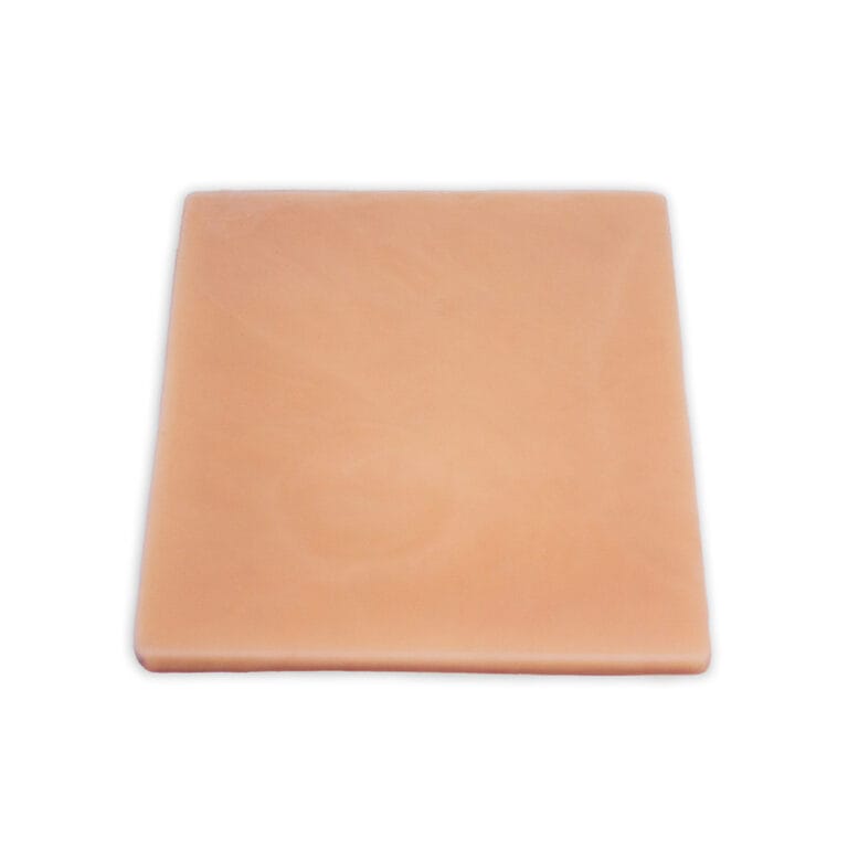 Abdominal Multilayer Skin Model - LifeLike BioTissue